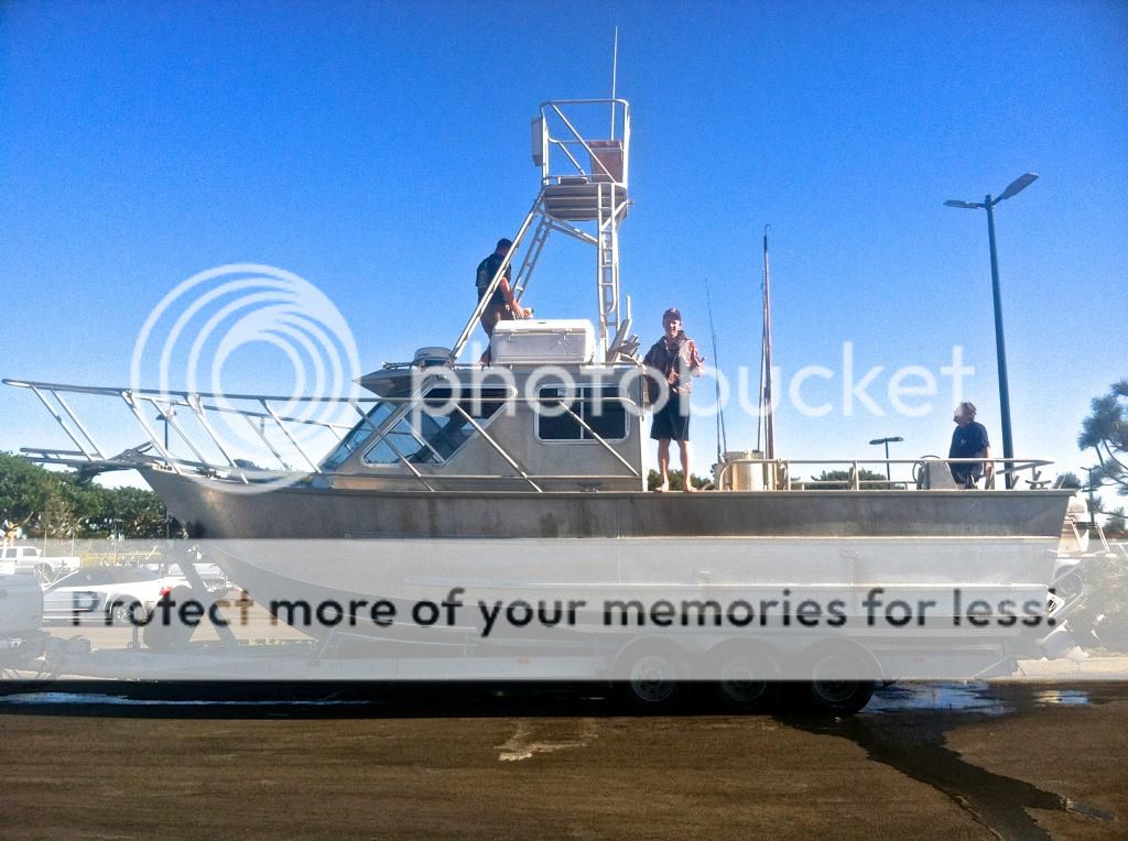 Hammerhead Hunting California Style – "ALL SHARK FISHING REPORTS" with ...